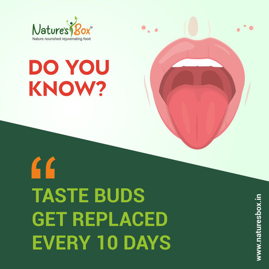 Why Do Tastebuds Change?